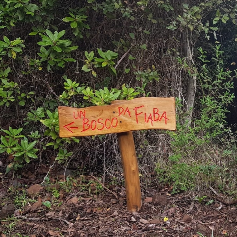 Museo e Parco dell'ossidiana - Pau (OR) - PASSI IN UN BOSCO DA FIABA ...